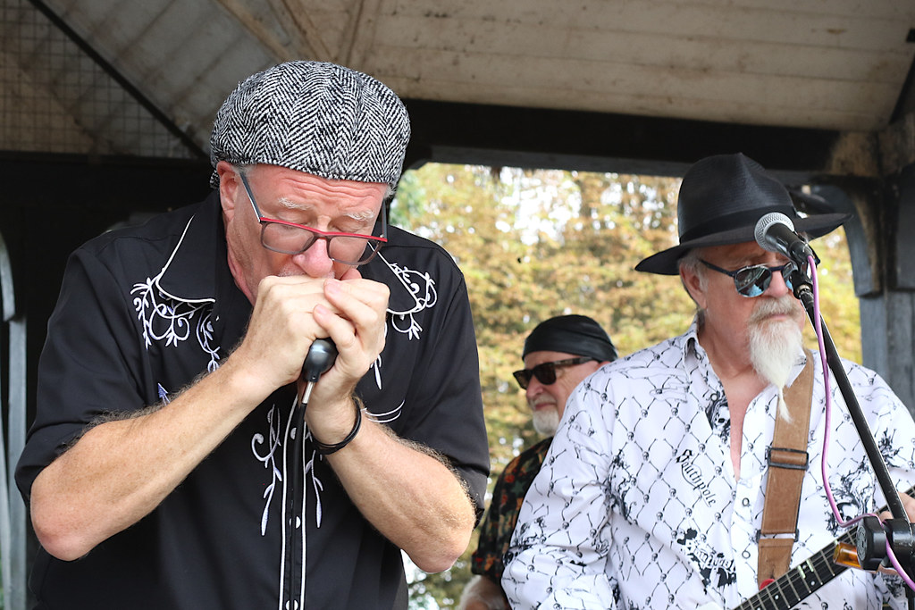 Artists :: Dereham Blues Festival